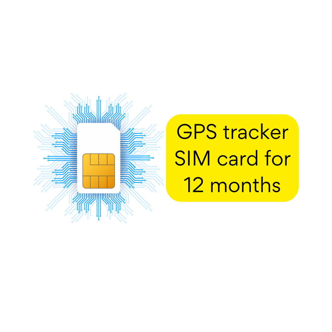 SIM card for GPS tracking, twelve months – HAM Systems